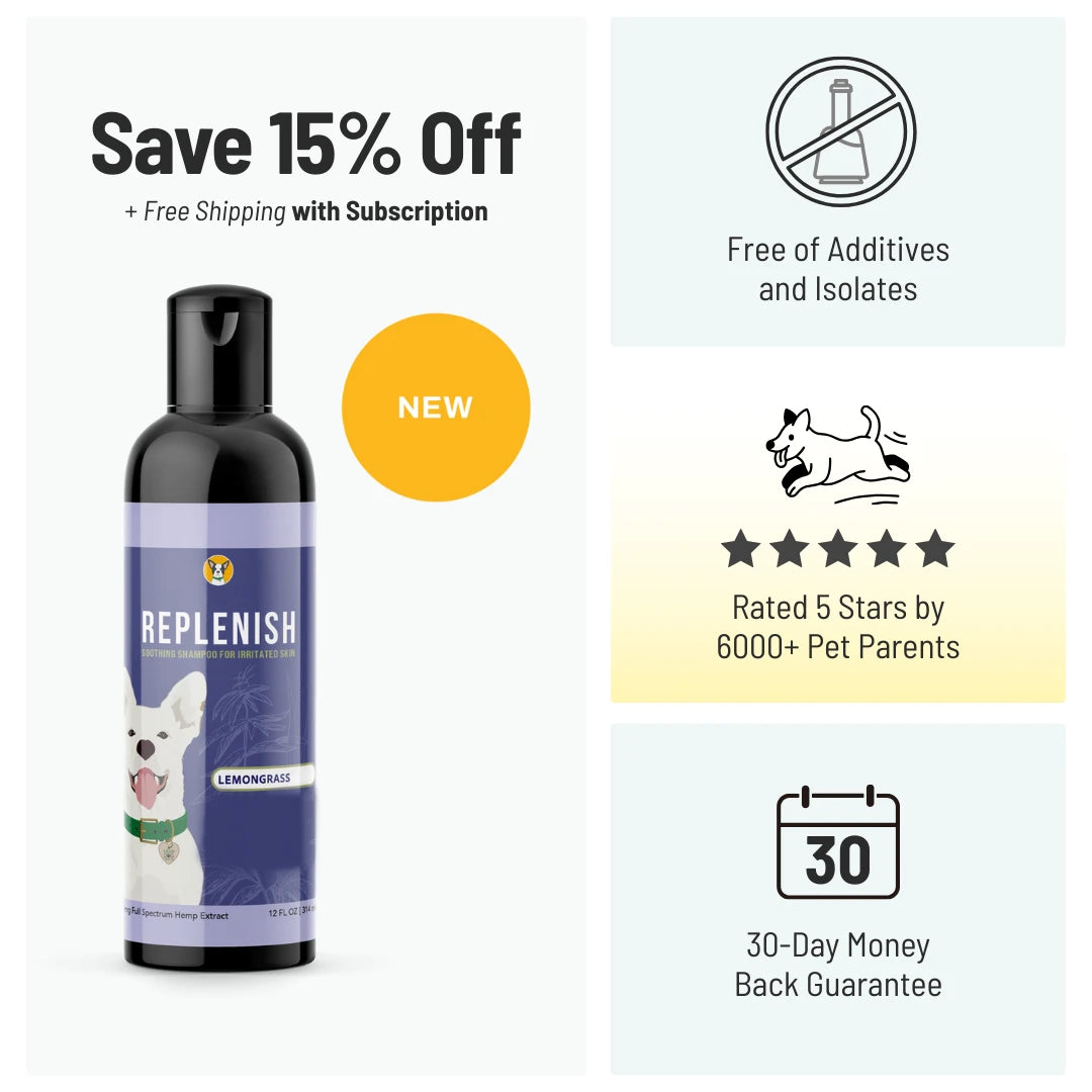Replenish Dog Shampoo – MycoDog