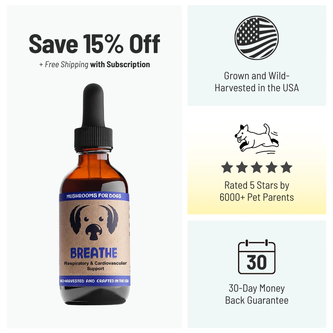 Breathe by MycoDog: Respiratory & Cardiovascular Support for Dogs
